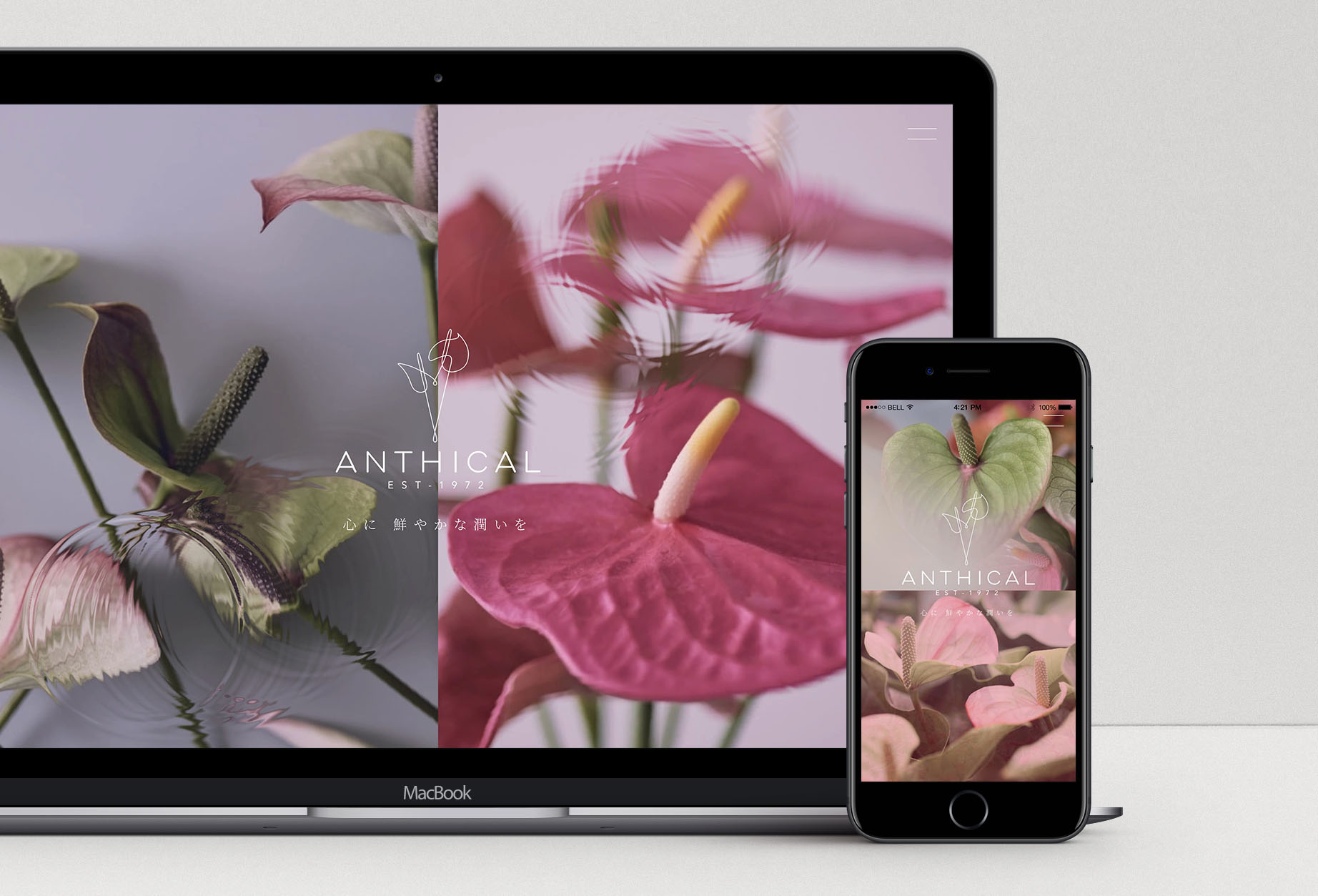 ANTHICAL -Branding | 株式会社HAREBARE